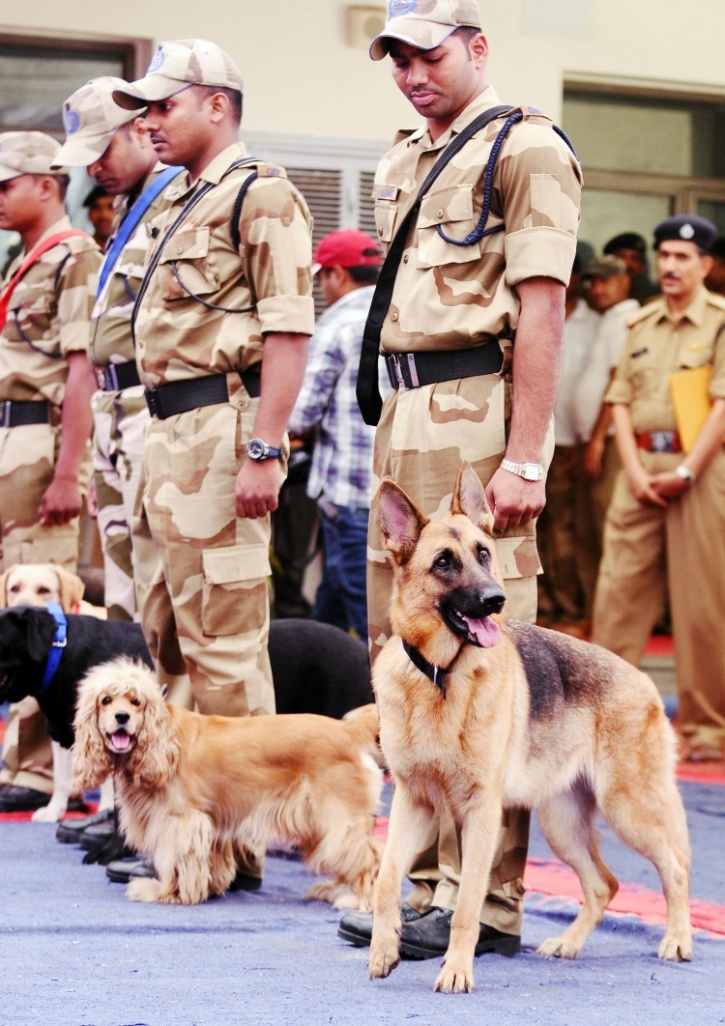 CISF Loses Three Dogs In One Year, Lack Of Medical Attention Blamed