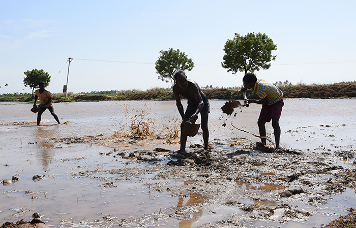 Children Of Indian Bonded Labourers Use Their Horrifying Memories To ...