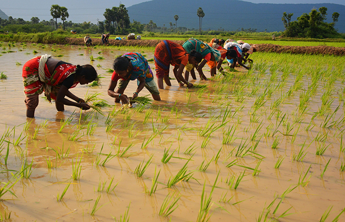 Children Of Indian Bonded Labourers Use Their Horrifying Memories To ...