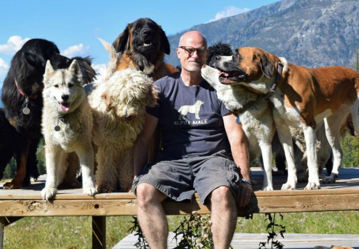 This Couple Adopted 46 Rescue Dogs To Give Them A Stable Home Because ...