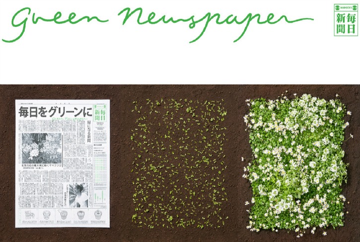 Japan's 'Green Newspaper' That Blooms When You Plant It Is A Perfect ...