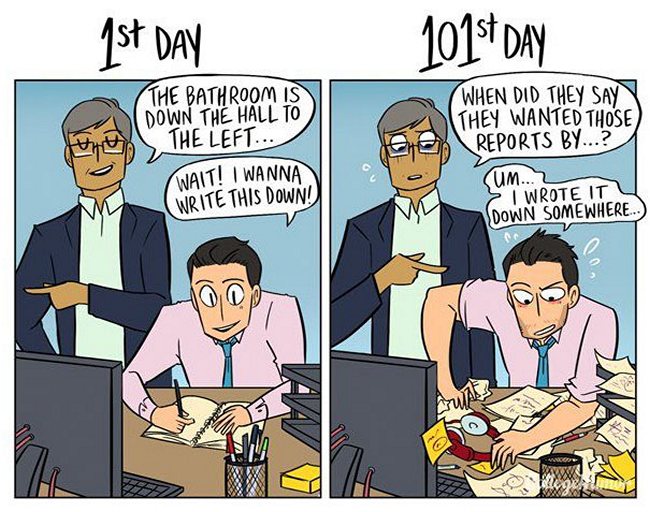 In Hilarious Illustrations - The Transformation Of Your Job From Day 1 ...