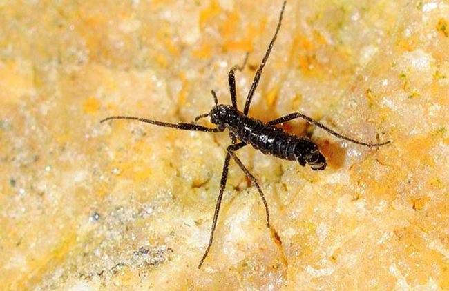 14 Reasons That'll At Least Make You PLAN A Visit To Antarctica