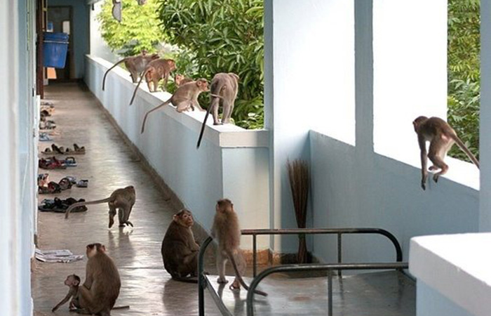 Failing Exams Not The Biggest Fear For IIT Bombay Students Anymore. It ...