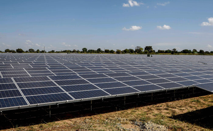 IIT Roorkee's Scientists Create Low-Cost Solar Cells Using Jamuns IIT Roorkee's Scientists Create Low-Cost Solar Cells Using Jamuns