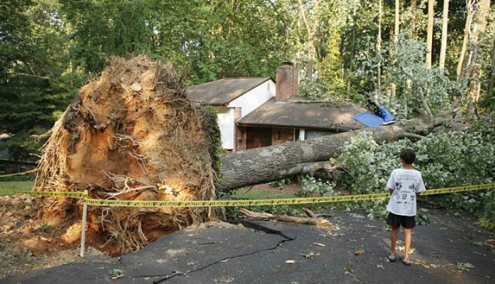 9 Heart-Warming Stories Of How Technology Came To The Rescue And Helped ...