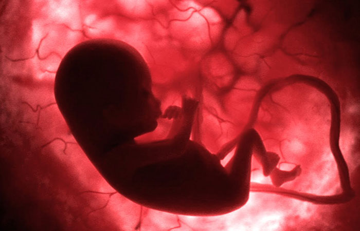 Womb Transplants Will Soon Be A Reality In India, Pune Hospital To ...
