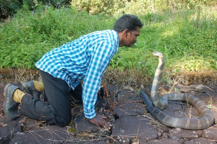 Meet Vava Suresh, A Wildlife Conservationist Who Has Saved More Than ...