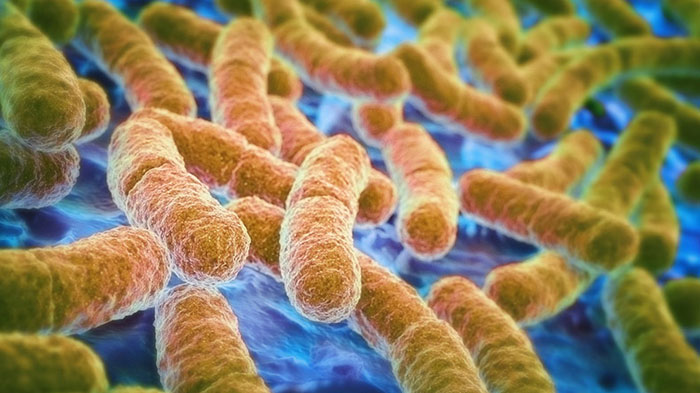 Here’s A Bacteria That Could Potentially Boost Athletic Performance!
