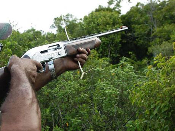 Police Arrests Man After He Killed A Rare Bird And Post Picture On ...