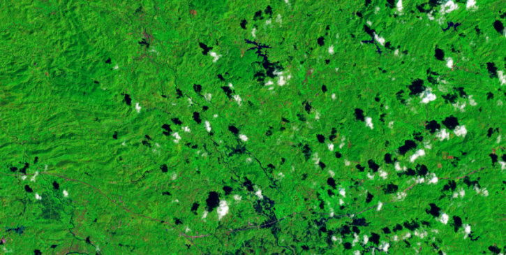 These Before and After Images From NASA Show How Climate Change Has ...