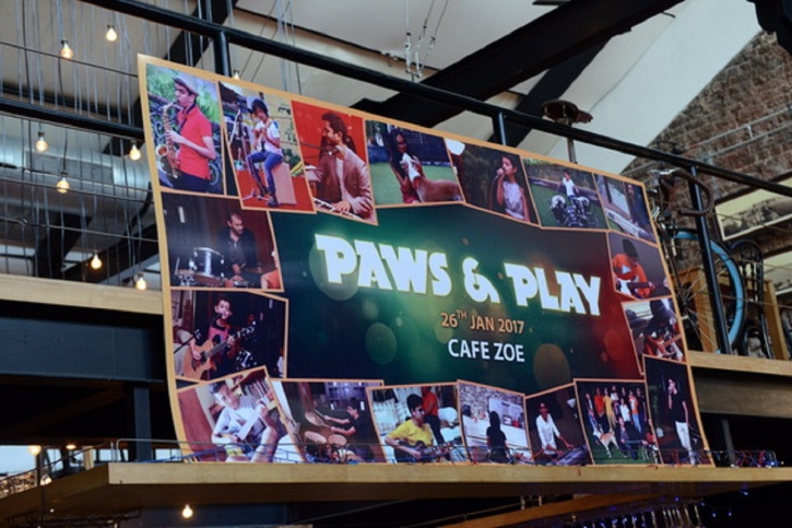 These Musical Mumbai Teens Organized 'Paws And Play' Gig For The ...
