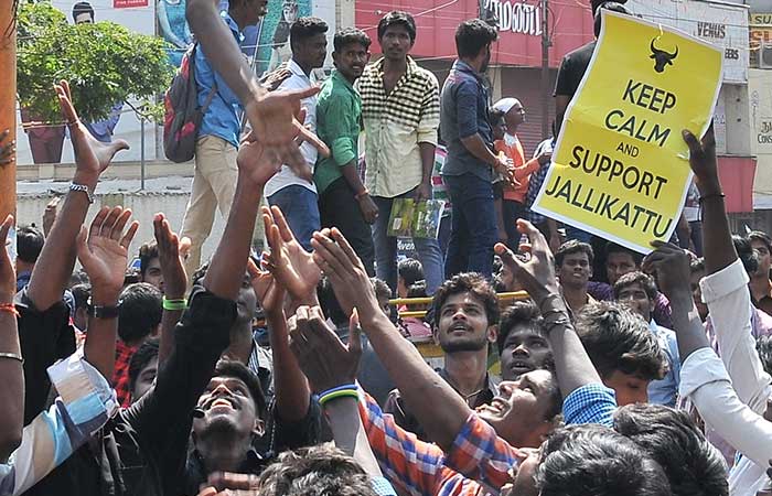 As Protests Spread Across Tamil Nadu, State Government Plans Ordinance ...