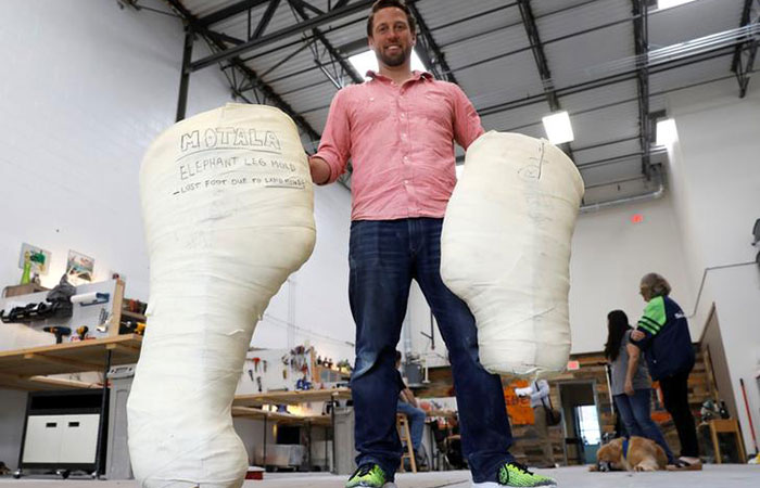 13 Pictures Of Animals With Amputation Who Got A Chance To Walk Once Again