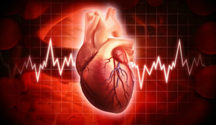 7 Heart Rate Myths You Should Disregard