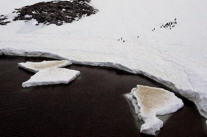 17 Pictures That Show The Extent Of Damage Caused To Antarctica's ...