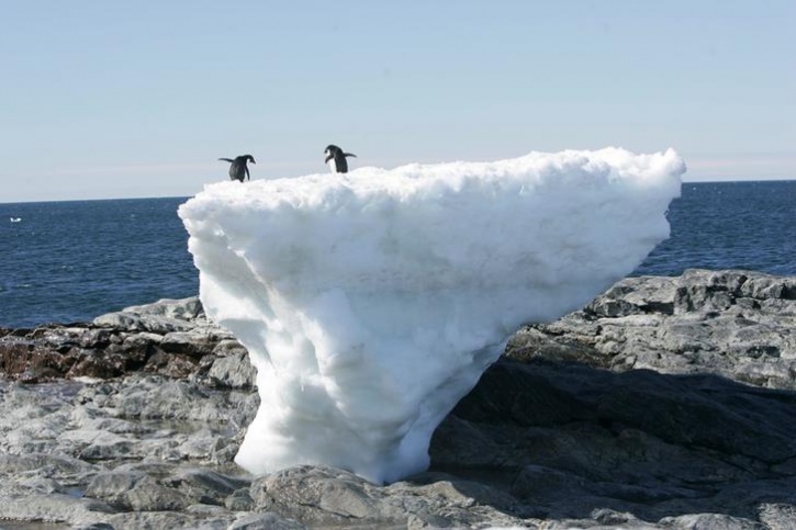 17 Pictures That Show The Extent Of Damage Caused To Antarctica's ...