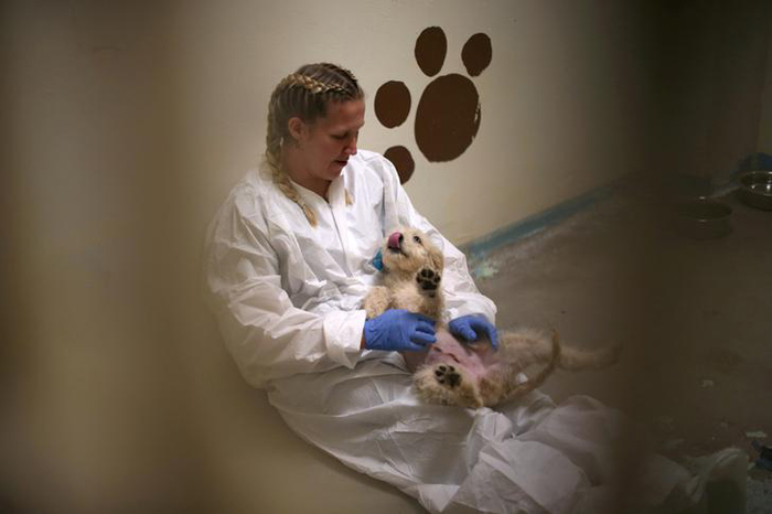 In This Prison, Inmates Help Out Rescued Animals And In Turn Themselves