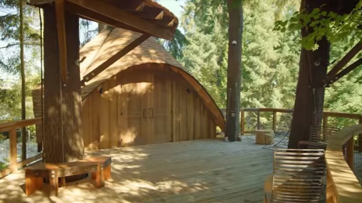 Microsoft Takes Its Employees Out In The Woods, Builds Tree House ...