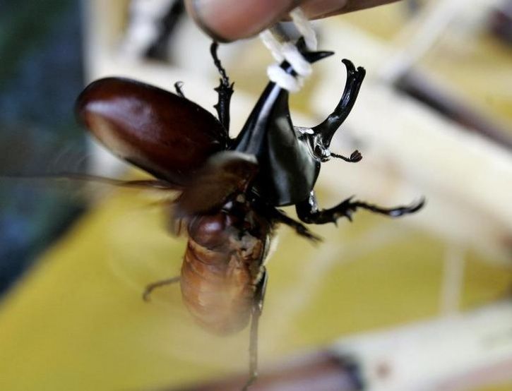 13 Bizarre Medical Cases That Will Make You Cringe