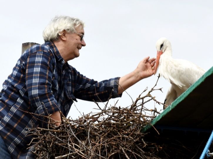 True Love - Male Stork Has Been Flying From Africa To Croatia For 16 ...