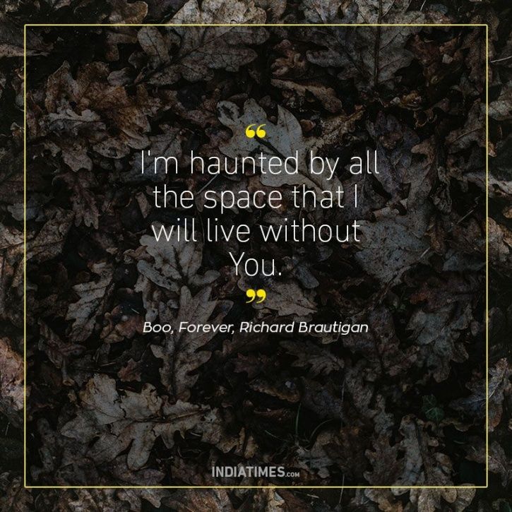 These 19 Heartbreaking Poetry Verses Explain Love, Loss & Everything In ...