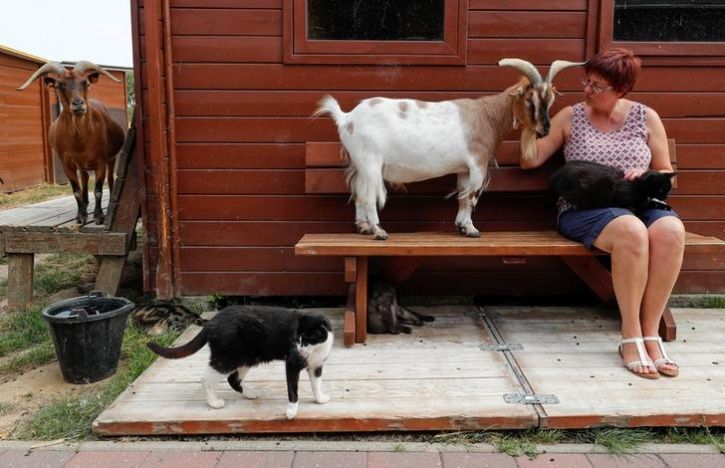 12 Pictures Of Old Age Animals Living Their Last Days In A House In Belgium