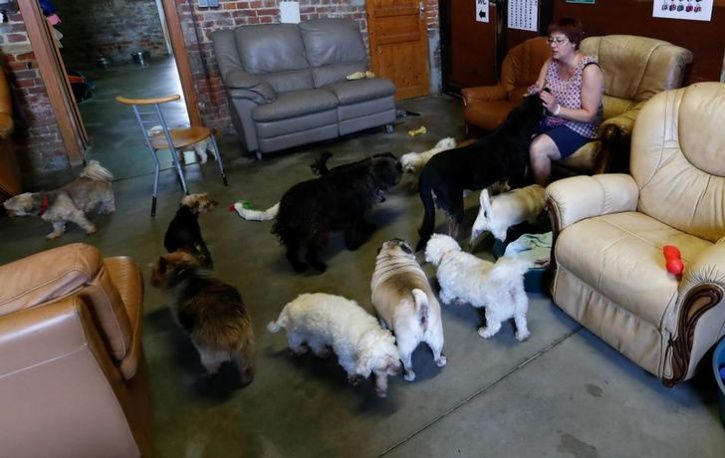 12 Pictures Of Old Age Animals Living Their Last Days In A House In Belgium