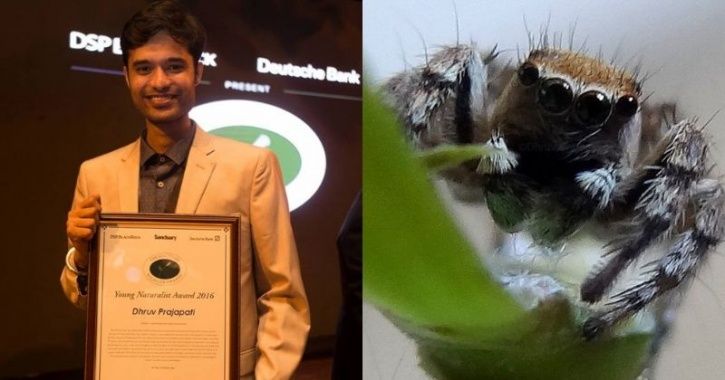 Ahmedabad Man Finds A New Species Of Spider, Names It After Kargil ... Ahmedabad Man Finds A New Species Of Spider, Names It After Kargil ...