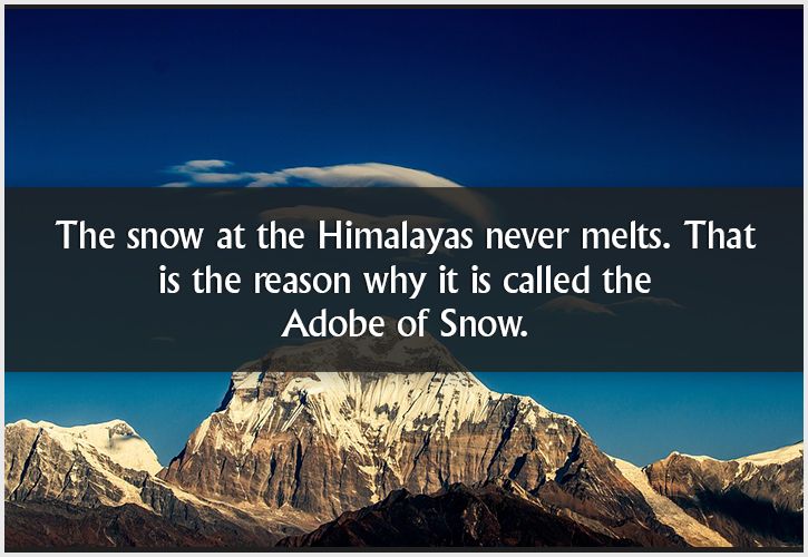 Himalaya Mountain Quotes