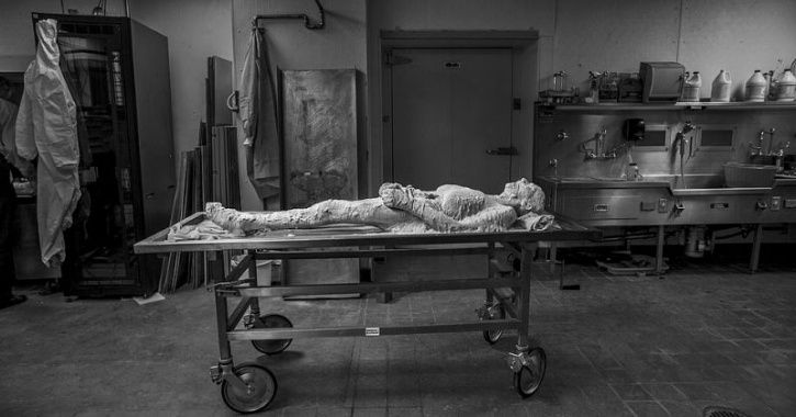 Woman Who Donated Body To Science To Be Cut Into 27,000 Slices & Turned ...