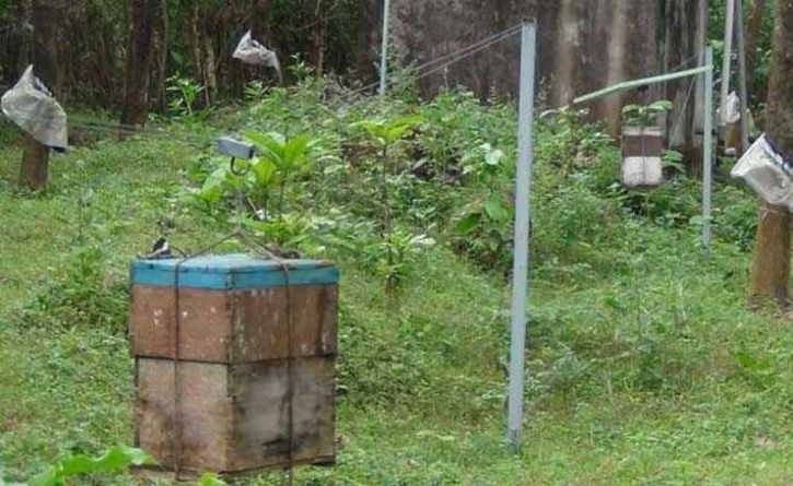 With A Beehive Fence, Kerala Farmers Find A Clever Way To Protect Farms ...
