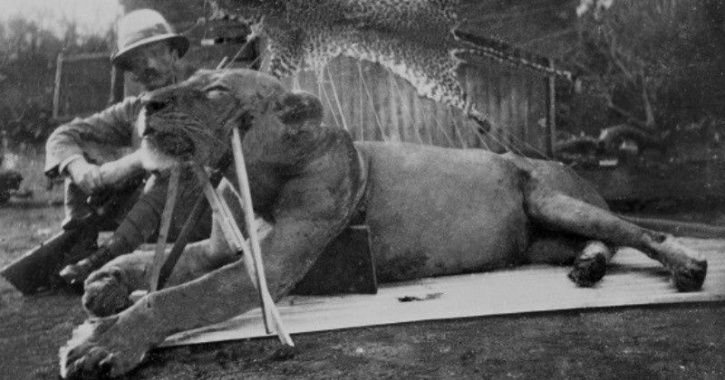 A Railway Line In Kenya Is So 'Lunatic', It Took Lives Of 2500 Indians ...