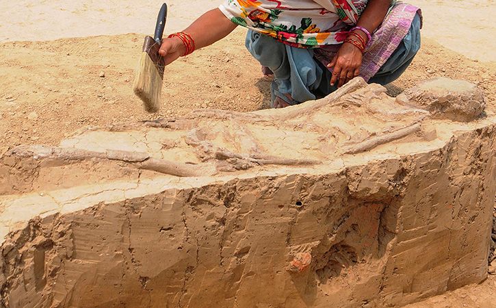 In A First, Chariot From Pre-Iron Age Found During Excavation In UP's ...