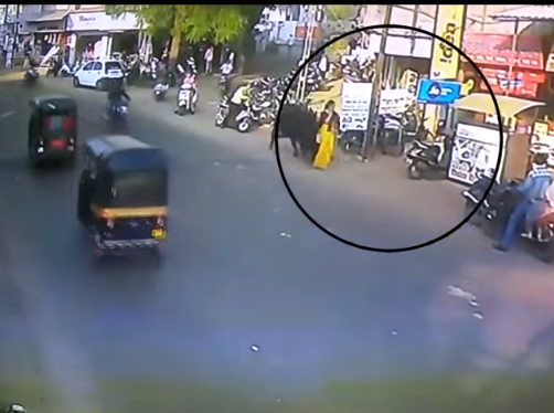 Angry Bull Attacks Woman On The Streets Of Gujarat, Footage Of The ...