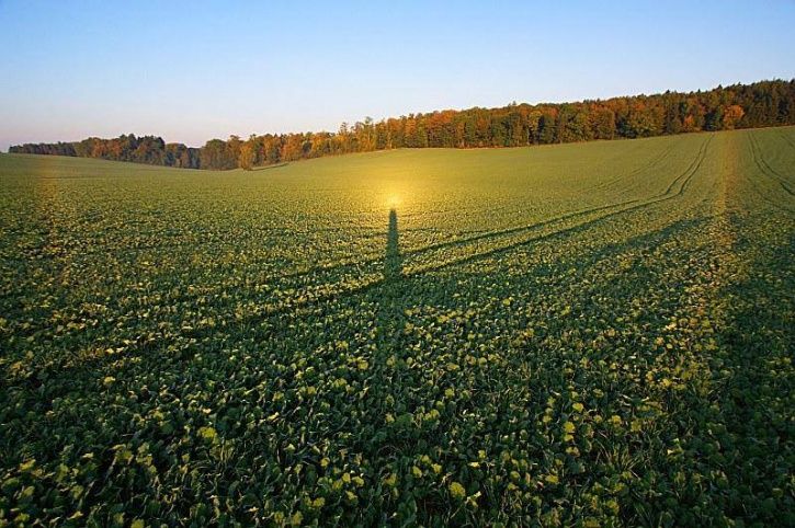 11 Natural Optical Illusions From Around The World That Will Make You A ...