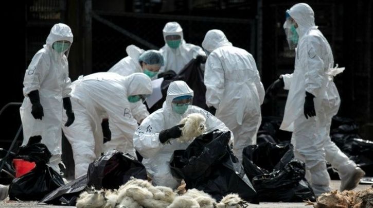 'Disease X' Could Be The World's Next Big Epidemic