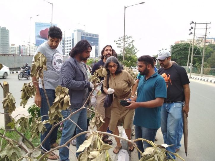 Bengaluru Does It Again! 24 Trees Cut To Increase The Visibility Of ...