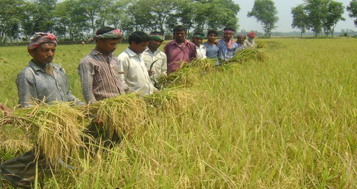 Goa Government Tells Farmers To Chant Vedic Mantra In Farms To Improve ...
