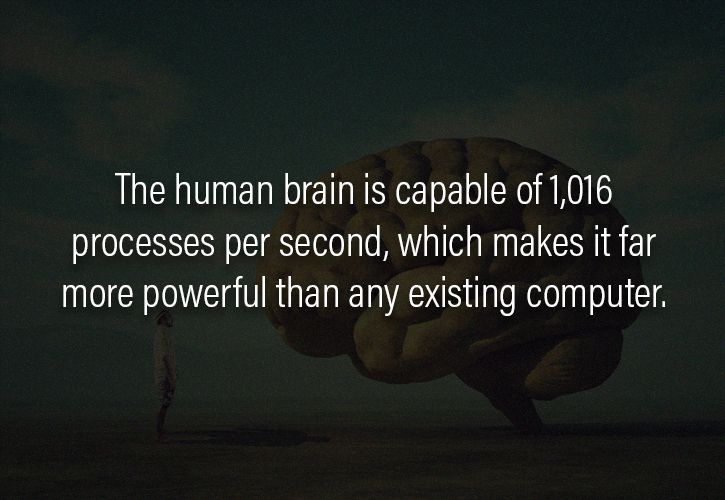 These Interesting Facts About Human Brain Will Blow Your Mind Away
