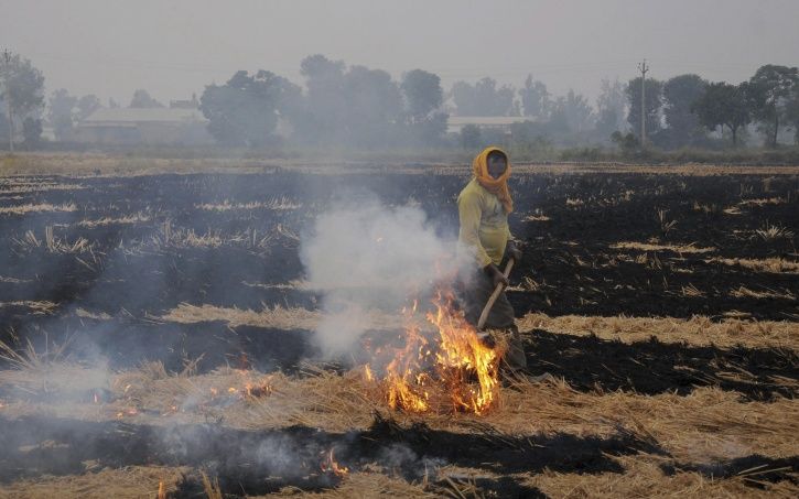 Despite Ban And Penalties, Stubble Burning Has Only Increased This Year