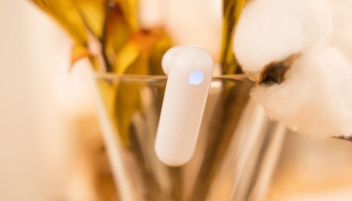 The WT2 Is A Earpiece That Translates Your Speech To Another Language ...