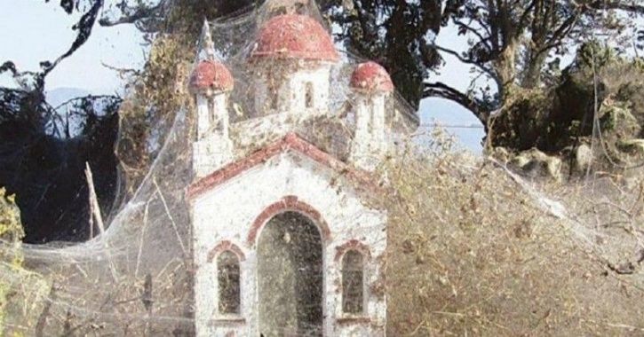 1000-Metre-Long Spider Web Covers This Phenomenal Lake In Greece