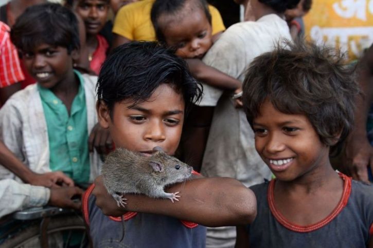 While We Waste Food, This Community In UP Eats Rats & Snails To Battle ...