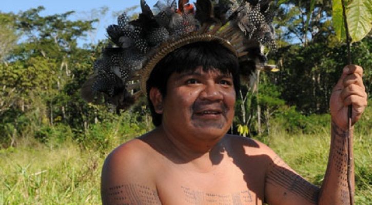 How This Tribe Uses Internet To Fight Deforestation, And Save The ...