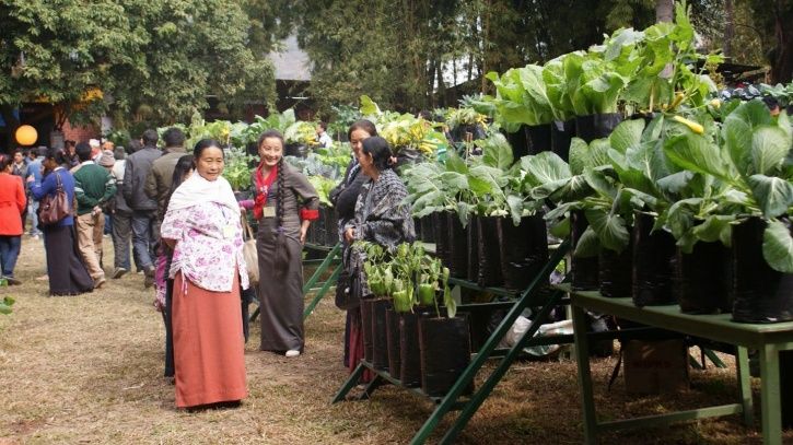Sikkim Becomes The First 100% Organic State In The World; Wins Future ...