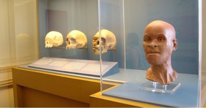 Brazil's First Human Perishes, Country Mourns Destruction Of 12,000 ...