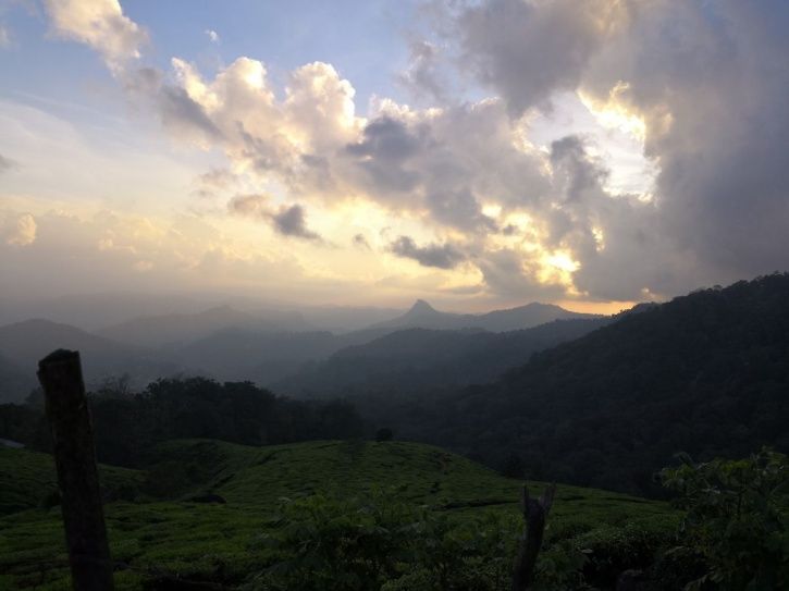 Munnar Has Survived Deadly Kerala Flood And Spectacular Neelakurinji ...