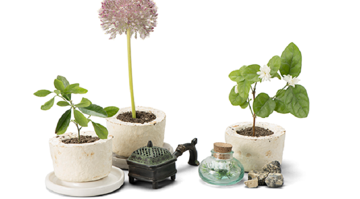 Two Kanpur Friends Are Recycling Flower Waste From Temples Into World's ...