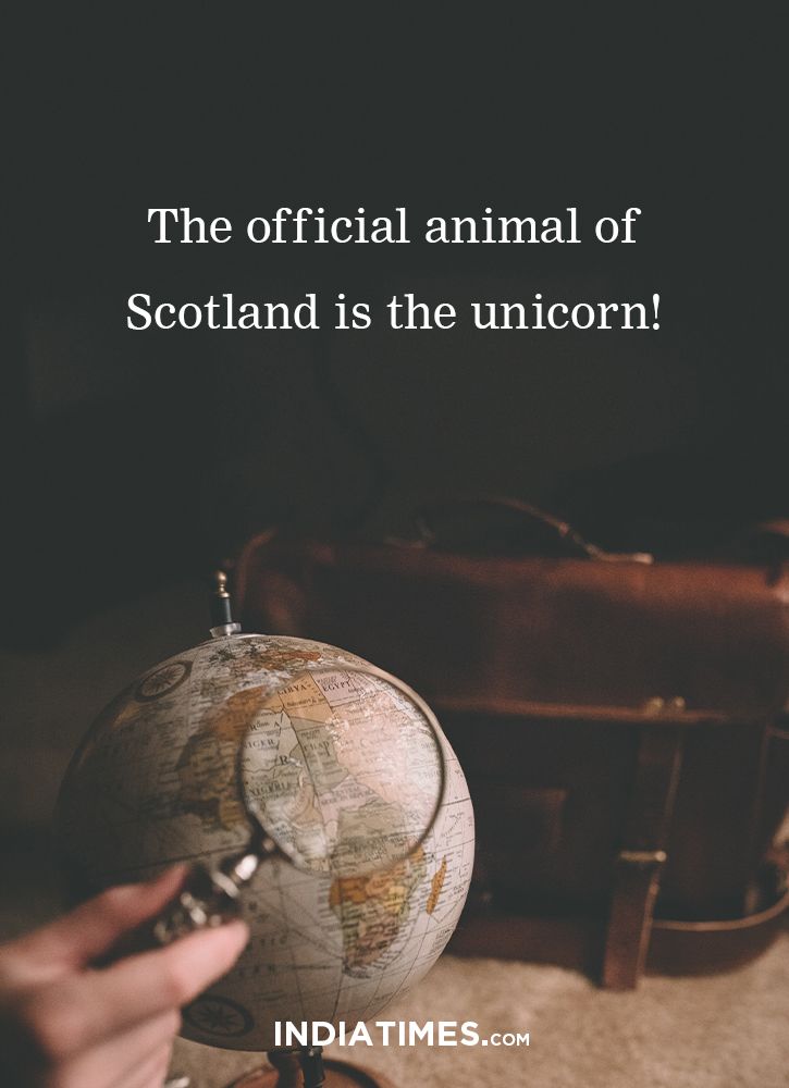 The World Is A Crazy And Bizarre Place, And These 20 Facts Will Blow ...